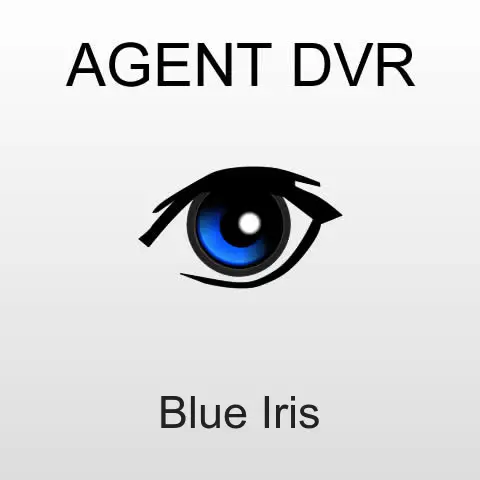 Verbinde mit Blue Iris IP Kameras.